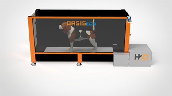 Oasis ECO | H2O For Fitness