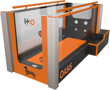 Hydrotherapy - Aquatic Therapy for Dogs, Cats, Pets & Small Animals